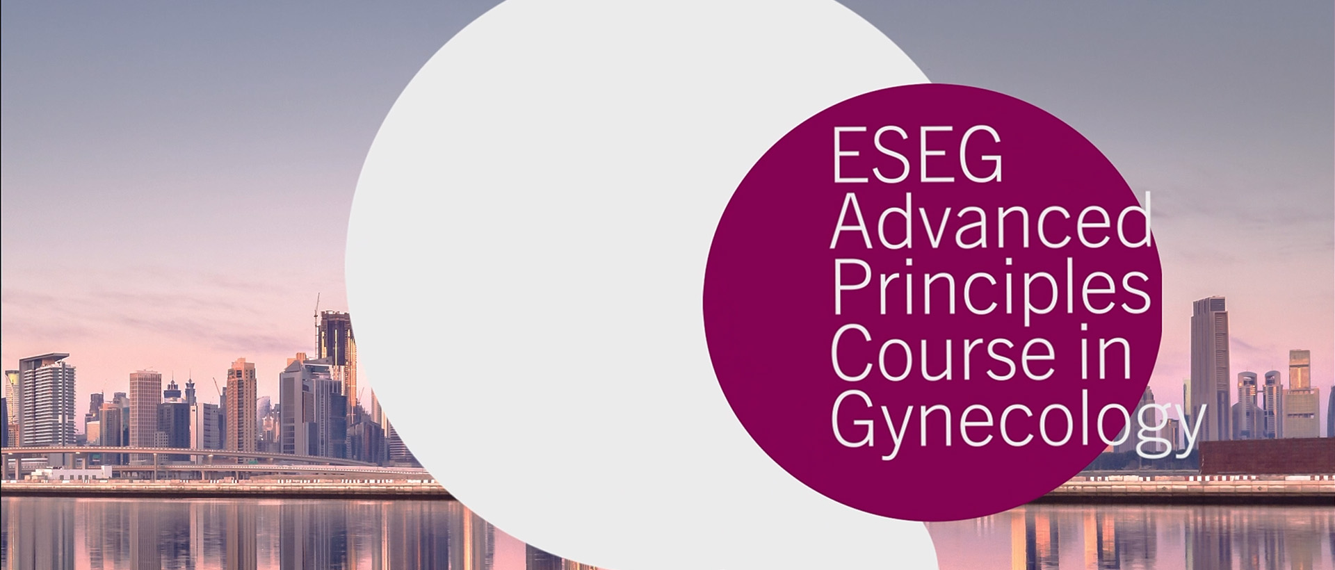 Electrosurgical Expert Group | ESEG Advanced Principle Course in Gynecology